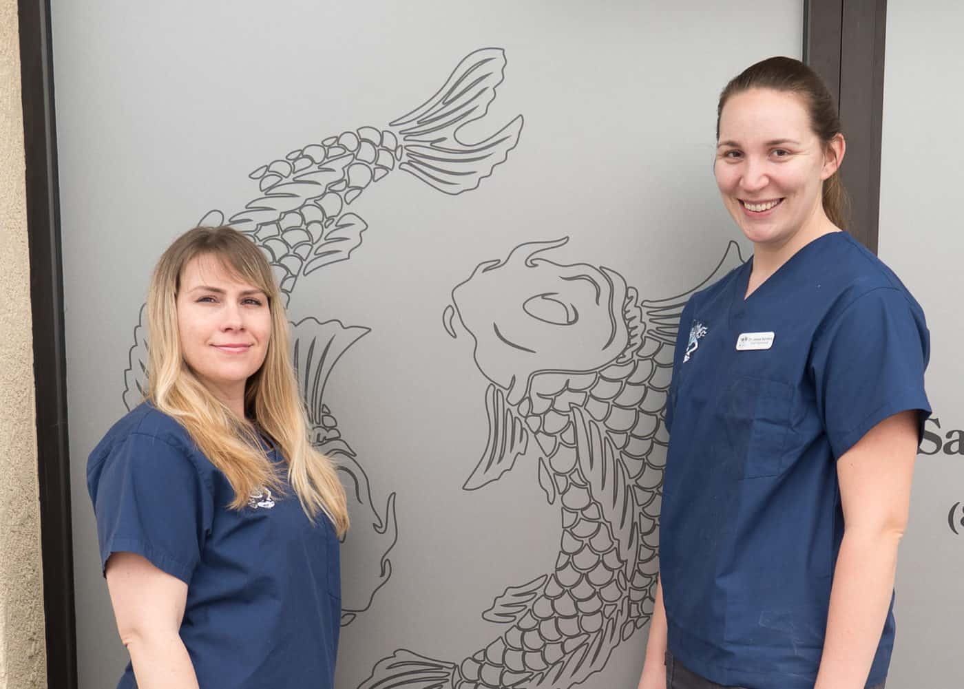 Amazing Fish Surgery Procedures - Fish Vet