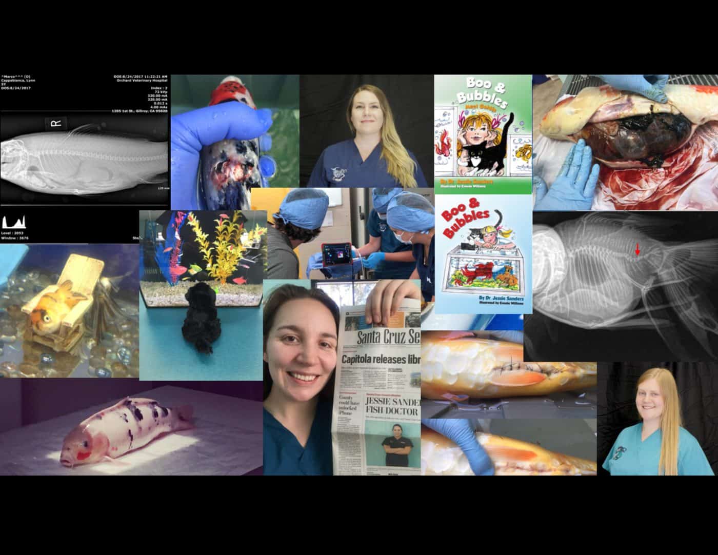 New Year's Resolutions for Fish Owners - Fish Vet