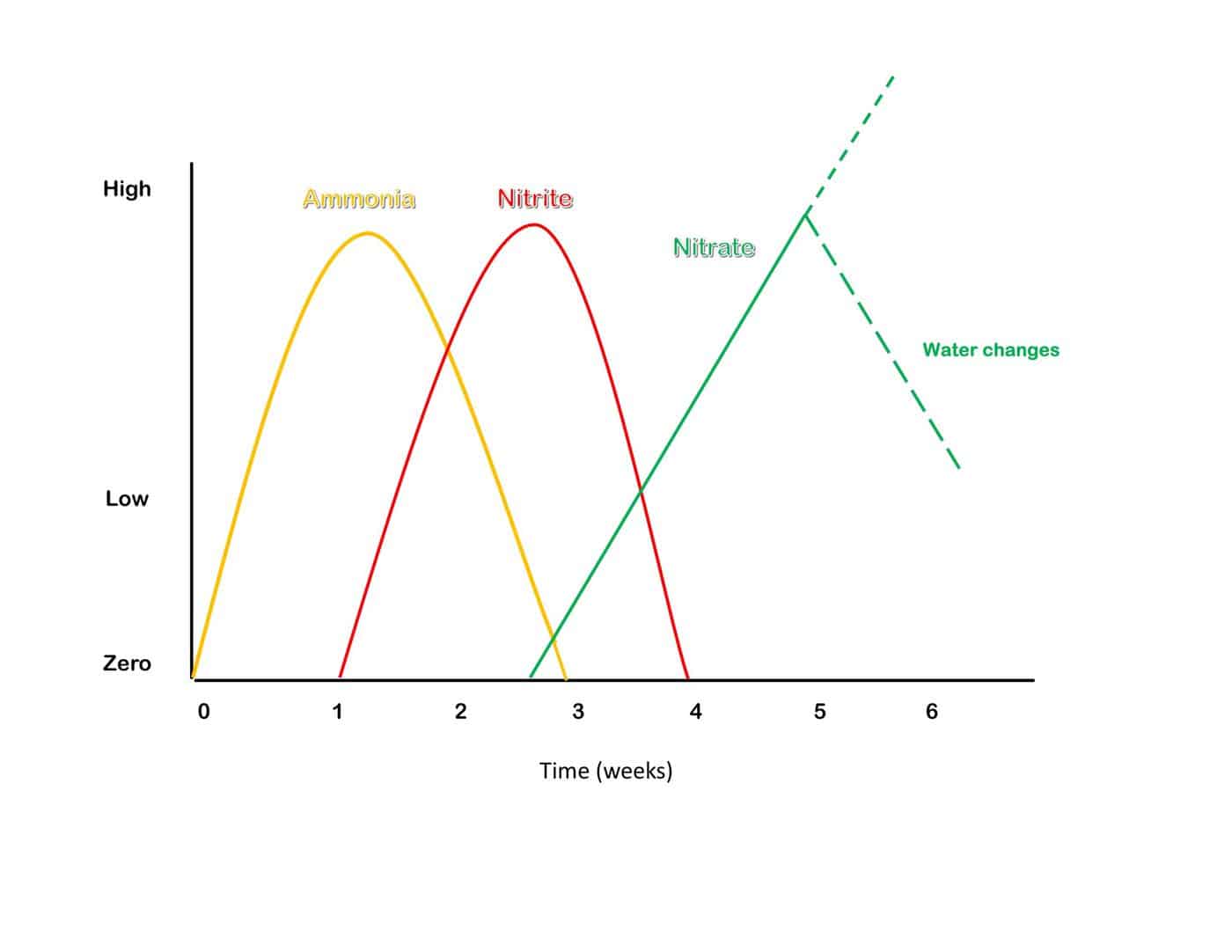 Fish System Cycling - Fish Vet