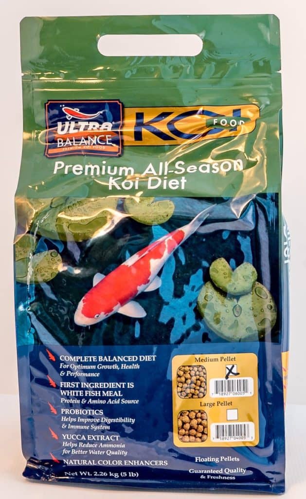 Store Fish Food Correctly - Fish Vet