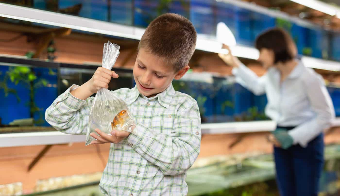 Fish Health 101 - Fish Vet