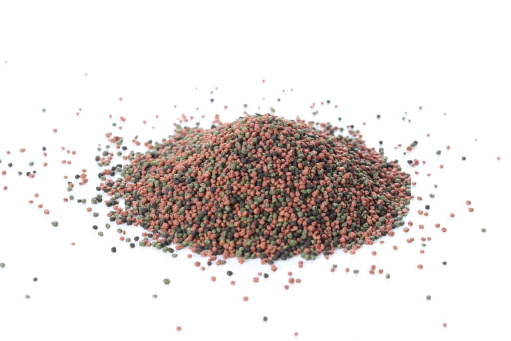 How To Store Fish Food Fish Vet