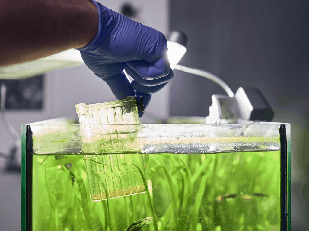 Fish Health 101 - Fish Vet