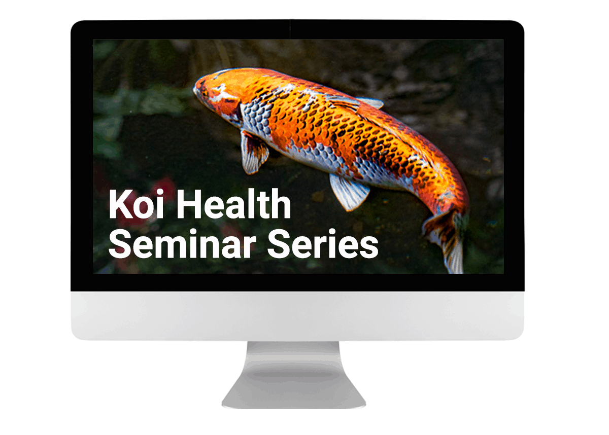 Koi Health Seminar Series - Fish Vet