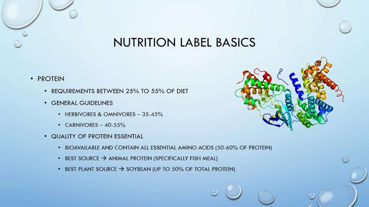 What's in Your Fish Food: How to Read Fish Food Nutrition Labels